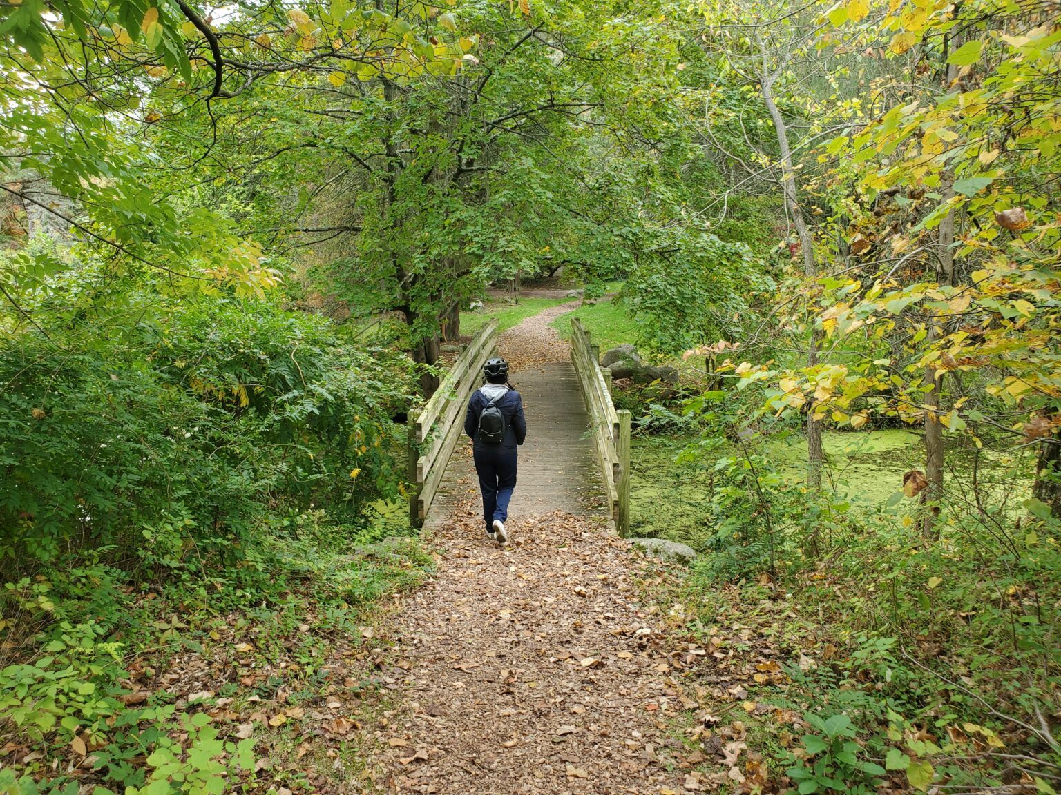 Duke Farms NJ: Everything You Need To Know