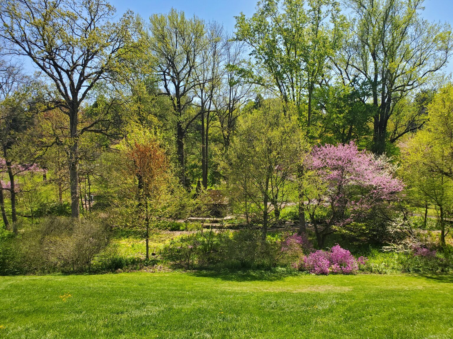 Morris Arboretum And Gardens: First Time Visitor Guide