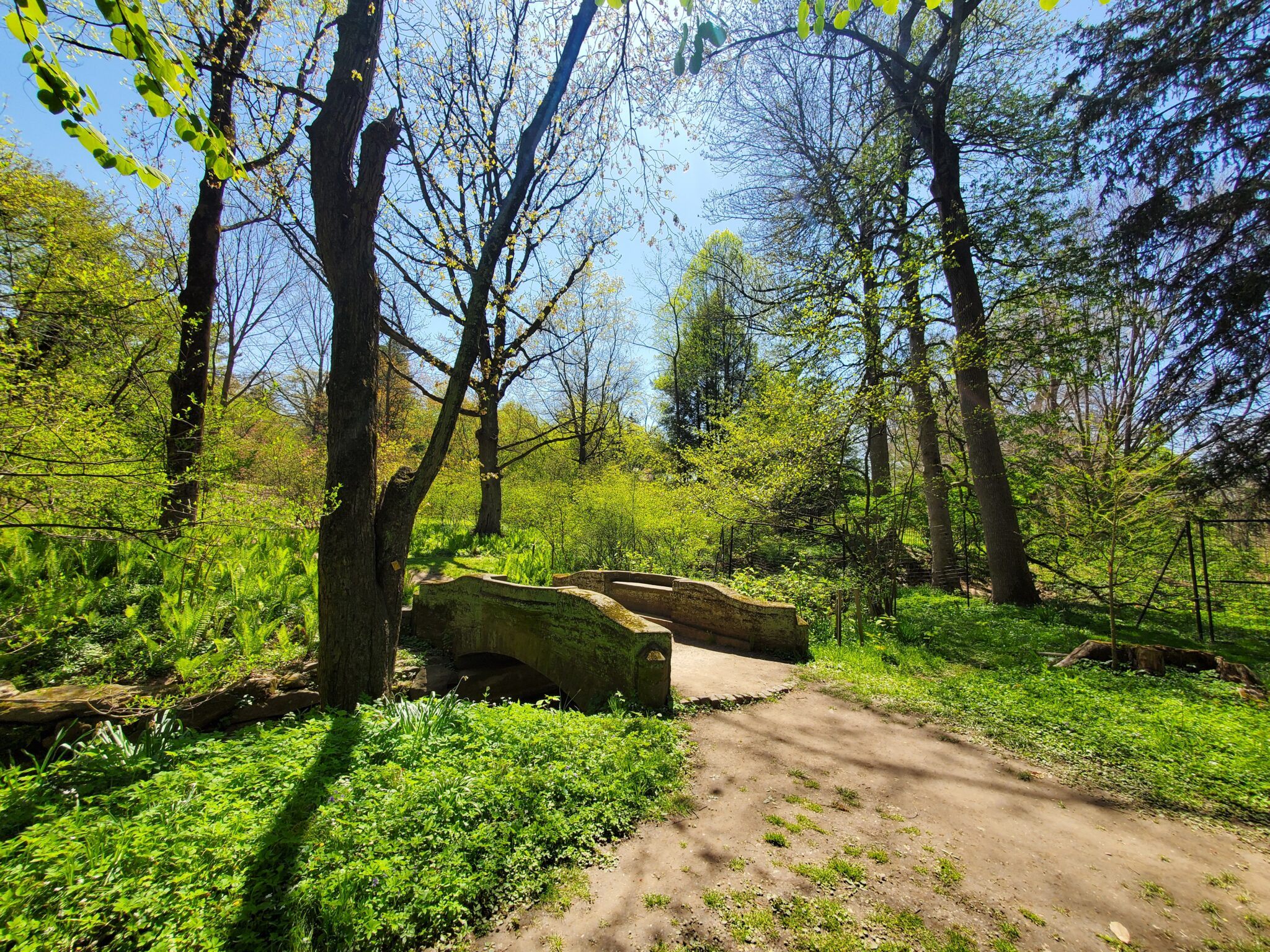 Morris Arboretum And Gardens: First Time Visitor Guide