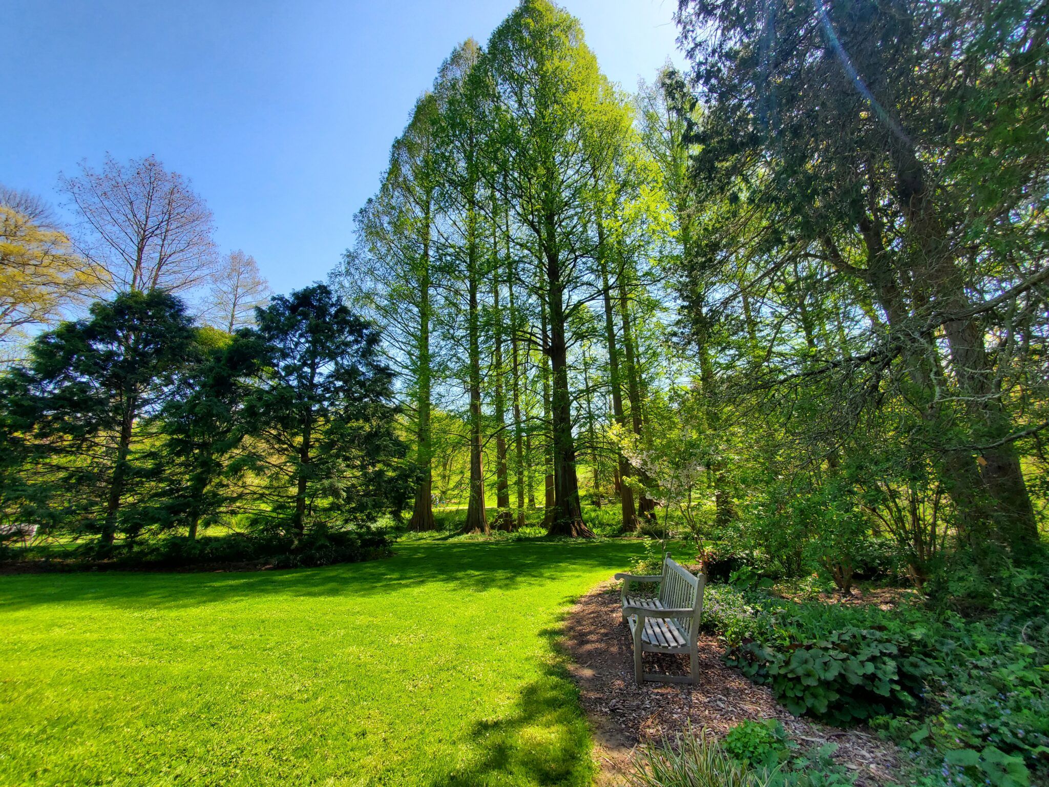 Morris Arboretum And Gardens: First Time Visitor Guide