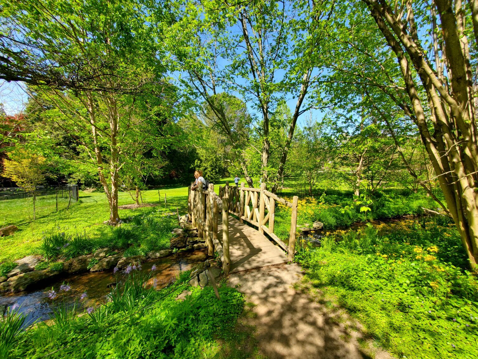 Morris Arboretum And Gardens: First Time Visitor Guide