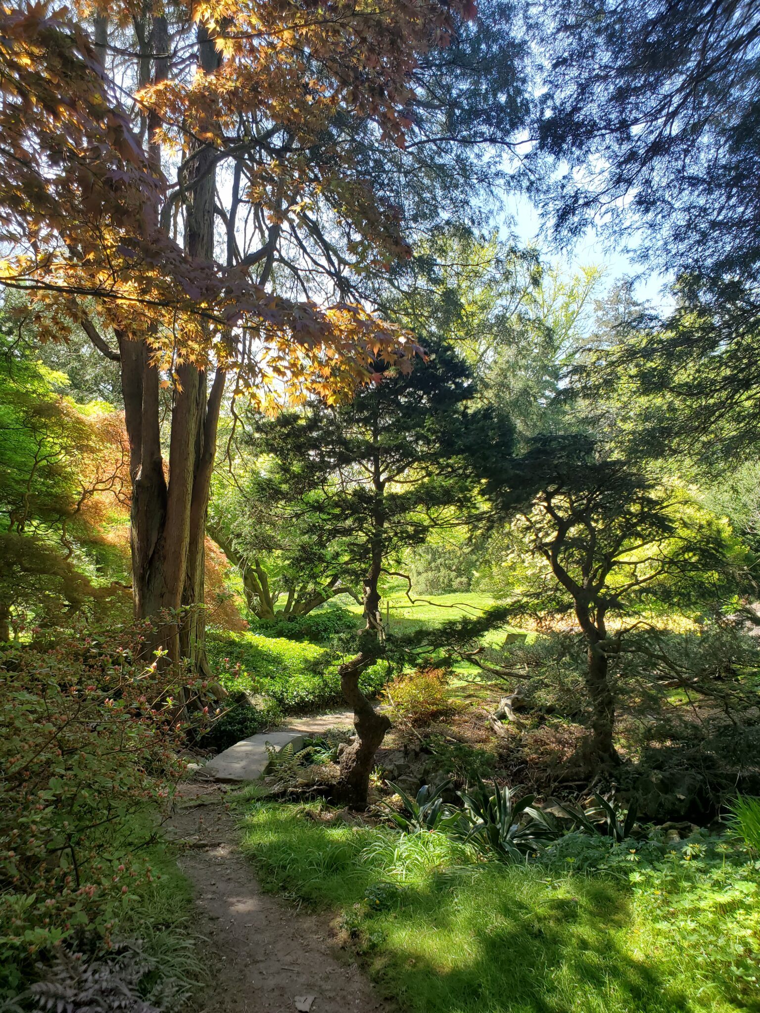 Morris Arboretum And Gardens: First Time Visitor Guide