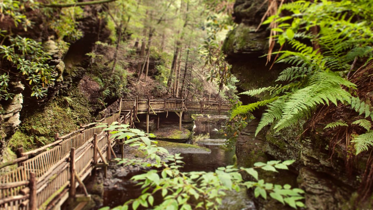 Bushkill Falls: Visitor Guide For First Timers