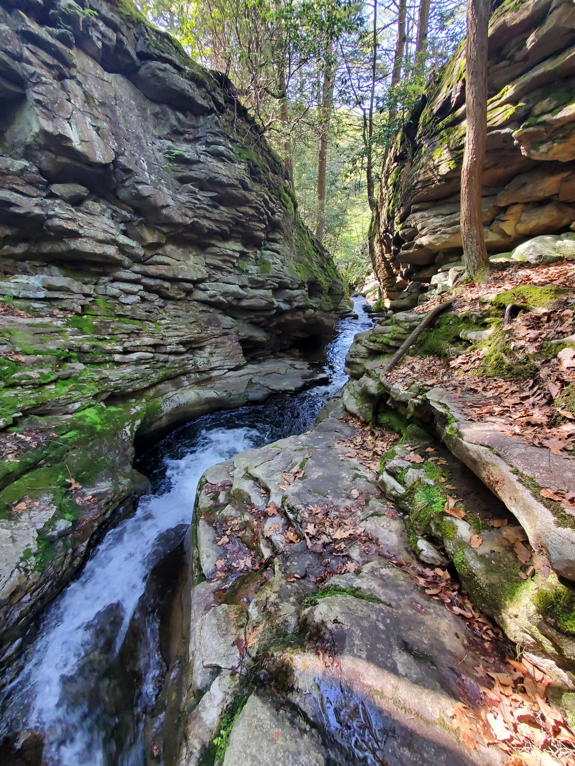 Seven Tubs Recreation Area: First Time Visitor Guide