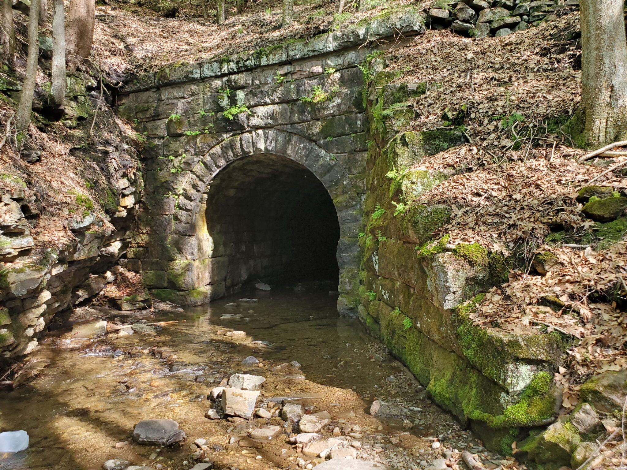 Seven Tubs Recreation Area: First Time Visitor Guide