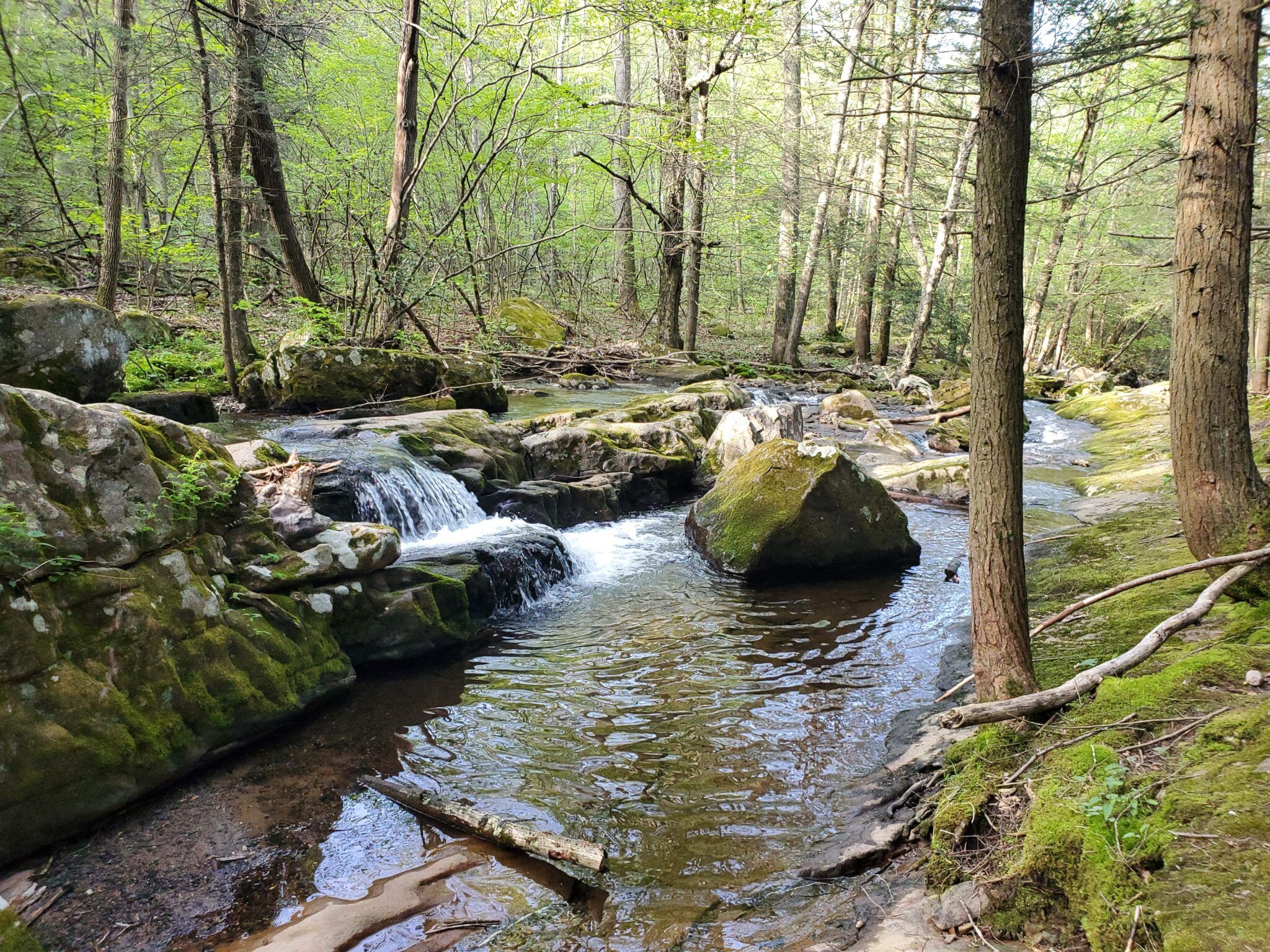 Seven Tubs Recreation Area: First Time Visitor Guide