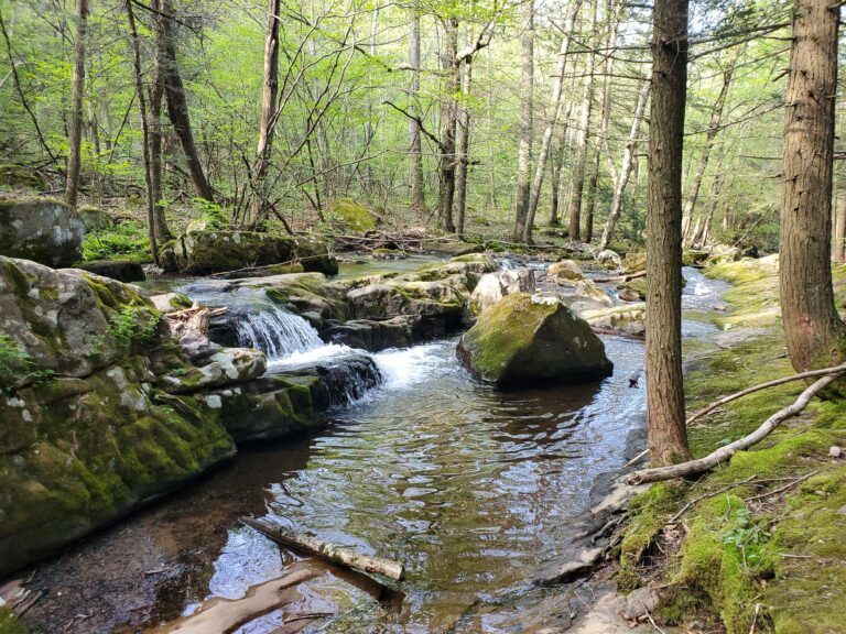 Seven Tubs Recreation Area: First Time Visitor Guide
