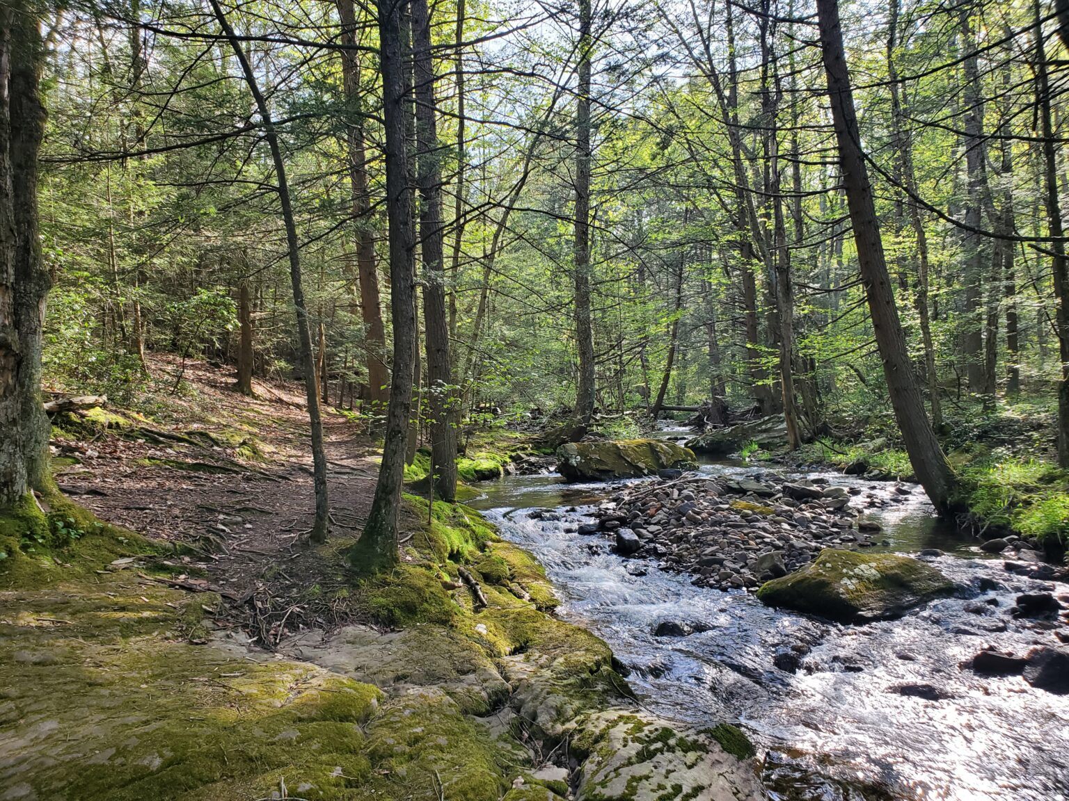 Seven Tubs Recreation Area: First Time Visitor Guide
