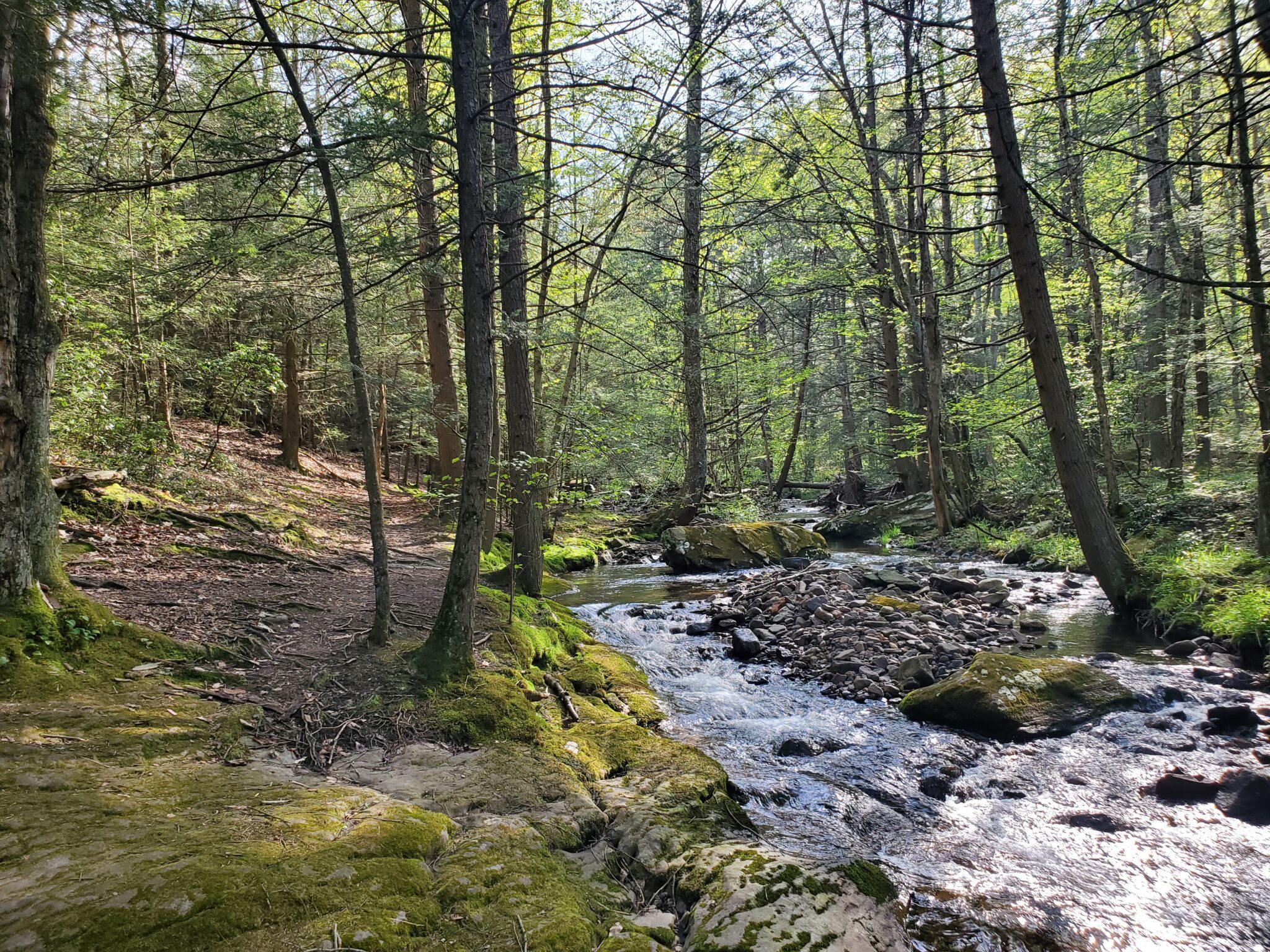 Seven Tubs Recreation Area: First Time Visitor Guide