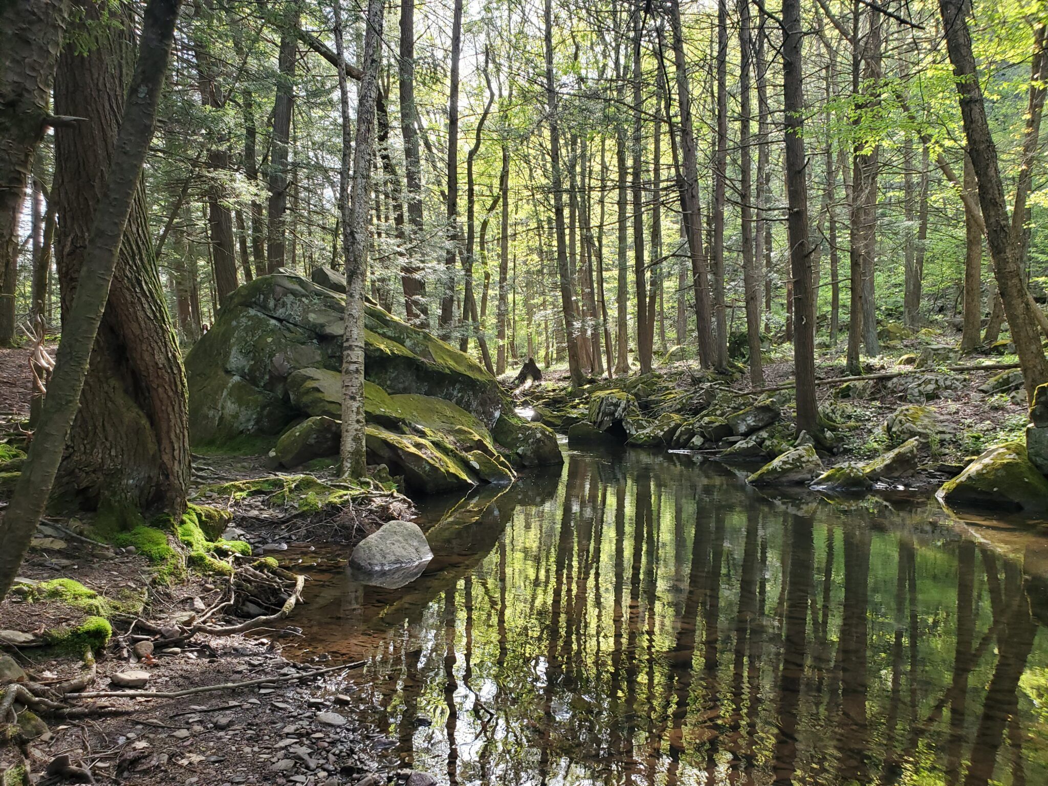 Seven Tubs Recreation Area: First Time Visitor Guide