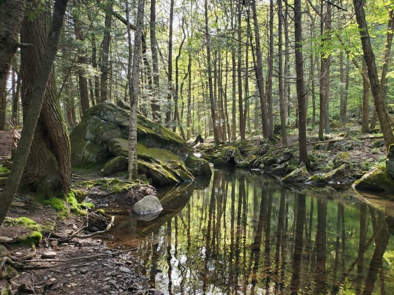 Seven Tubs Recreation Area: First Time Visitor Guide